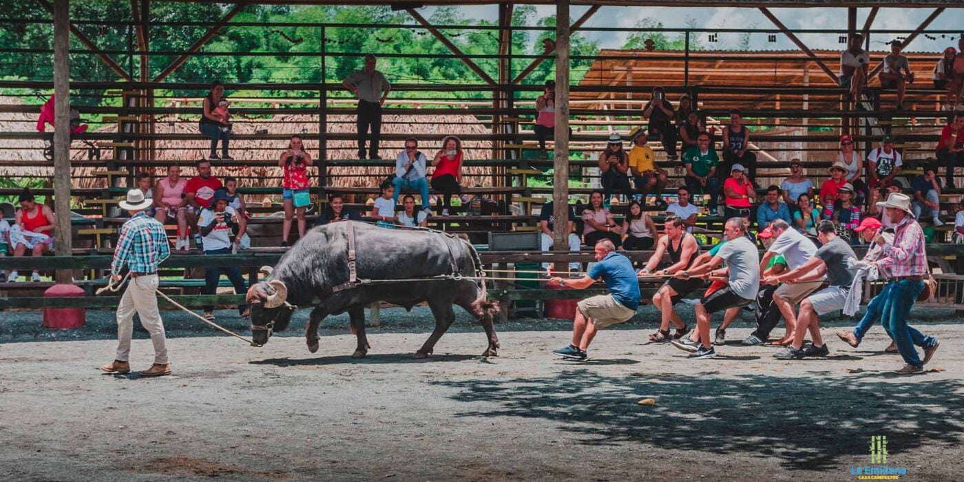 Panaca - La Emiliana